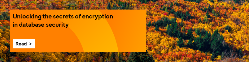 Security resolutions for 2024