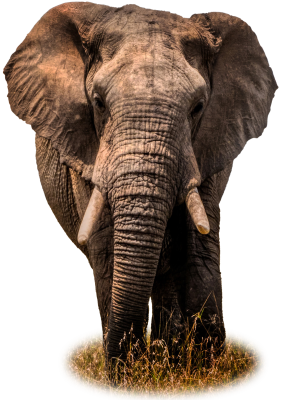 Beyond green computing with Fujitsu Enterprise Postgres on IBM LinuxONE Emperor 4