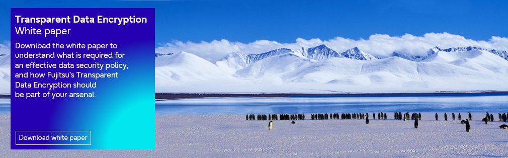 Enhanced PostgreSQL for Enterprise Applications | Fujitsu